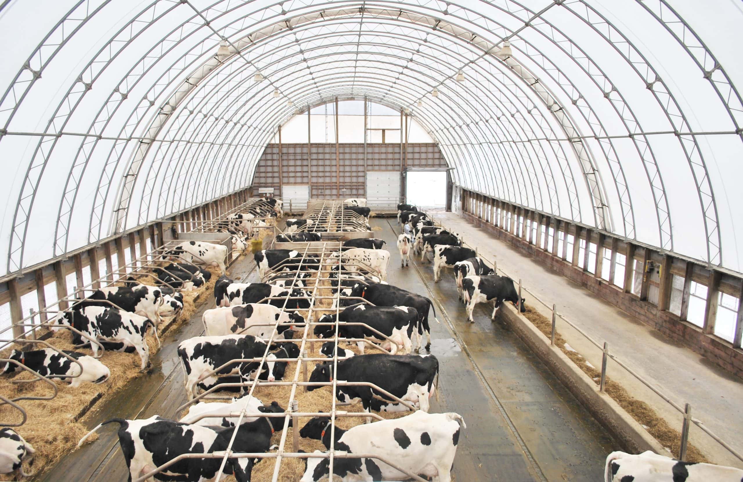 Commercial Agriculture Fabric Structures & Storage Buildings